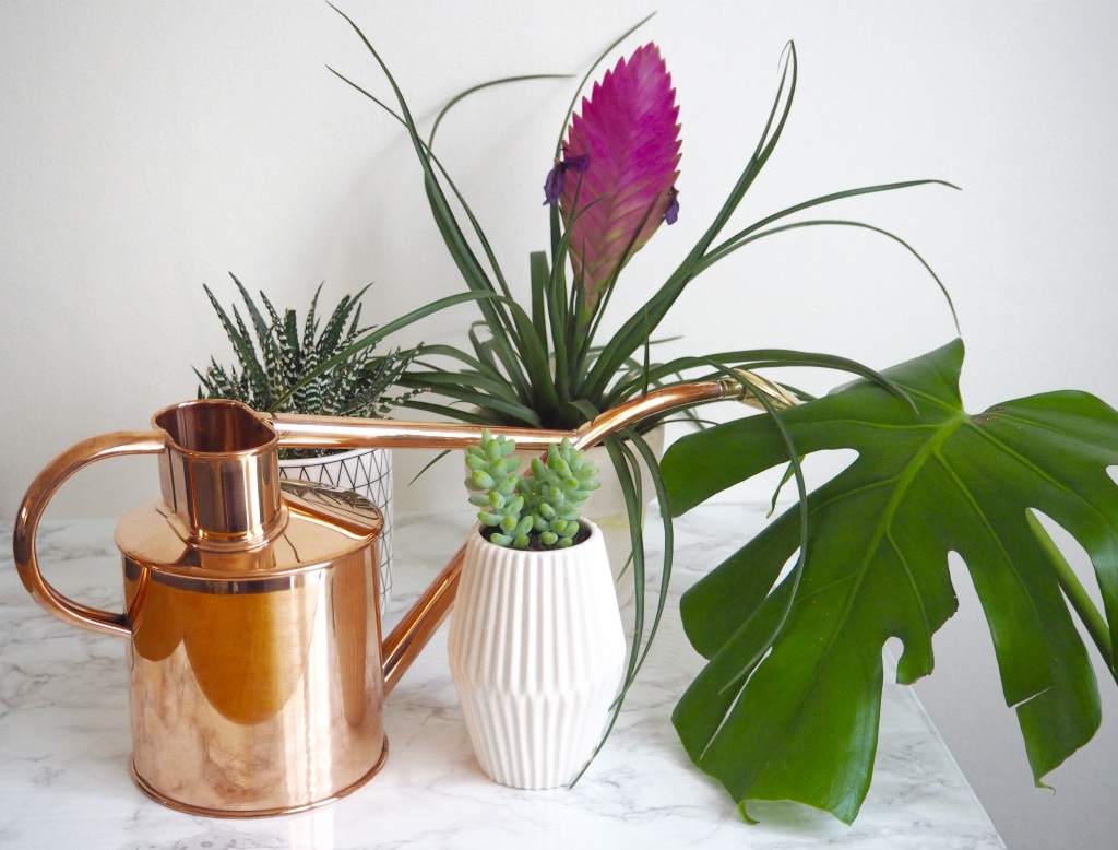 GEO-FLEUR – Just Lovely Little Things