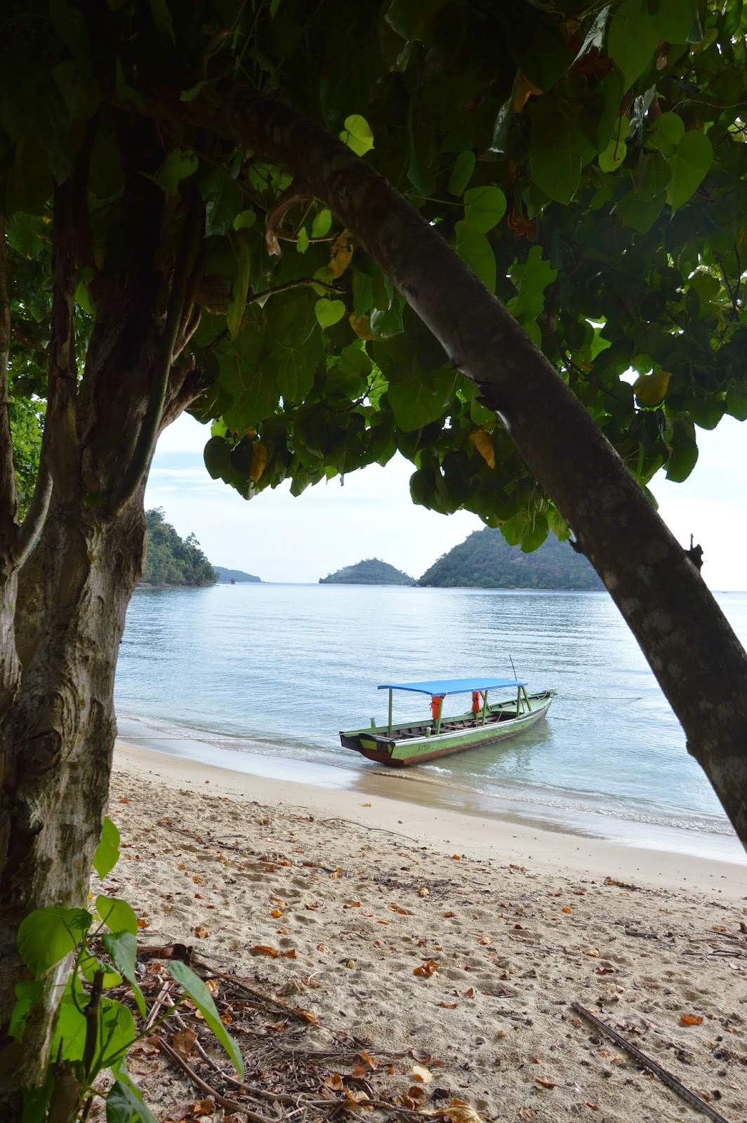 Salut ça douche ?: RIMBA Homestay - Le petit paradis perdu
