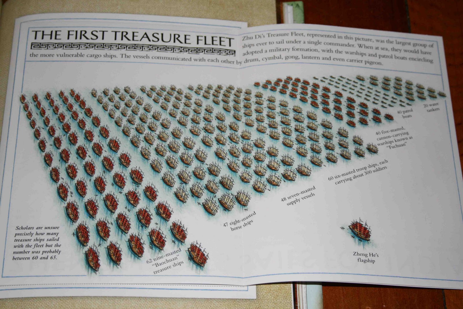 Literacy, families and learning: Cross-section books and why boys love them