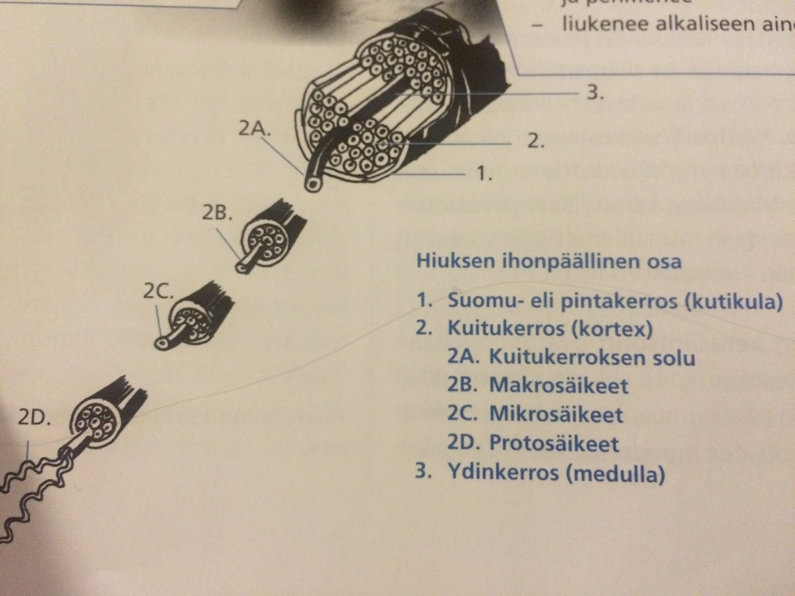 Tiamatildan hiusblogi: Iho ja hiukset tehtävä