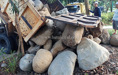 JUAL BATU KALI BESAR DAN KECIL UNTUK TAMAN | JABODETABEK ~ JUAL BATU ...