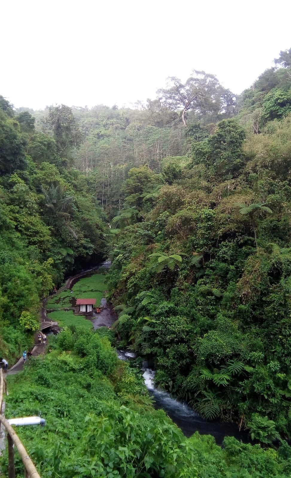 Wisata Tersembunyi: Air Terjun Telunjuk Dewa Raung