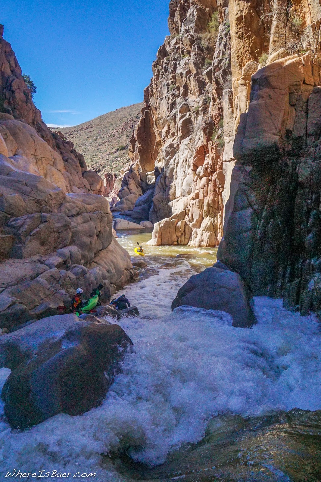 Where Is Baer ? : Class Tree in Arizona, Christopher Creek and Hell’s Gate