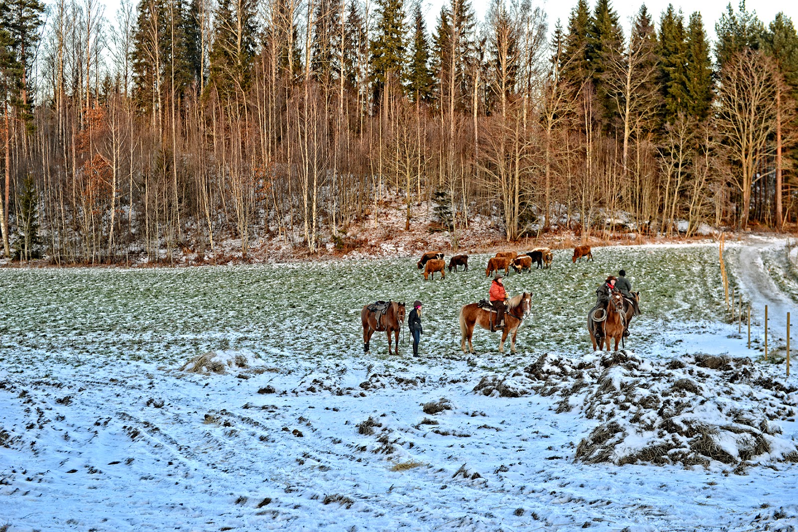 Kuvamerkintöjä: Launosten joulupolku - The Christmas Route in Launonen