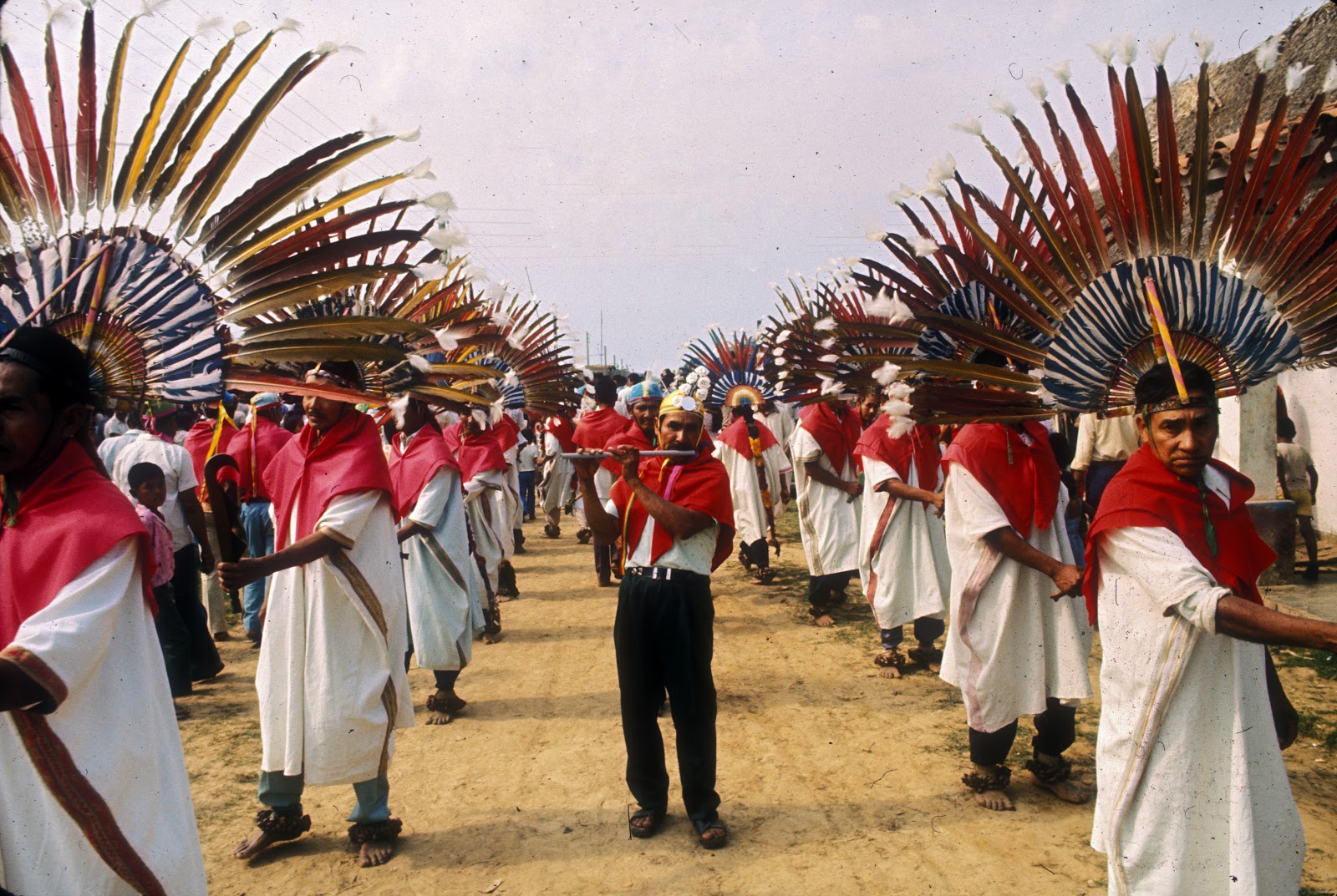 Demasiadas Noches: Danza de los Macheteros (Bolivia)