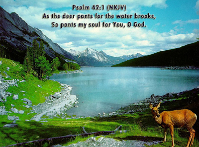 PSALMS (42)