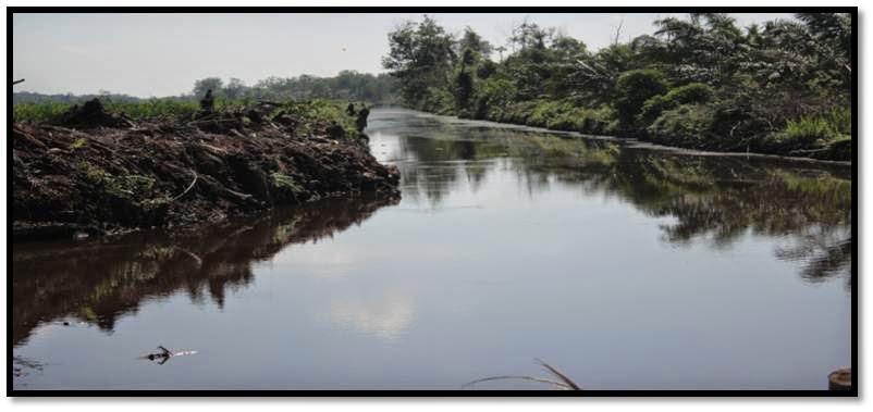 EKOLOGI TUMBUHAN KELOMPOK HUTAN RAWA GAMBUT 6E