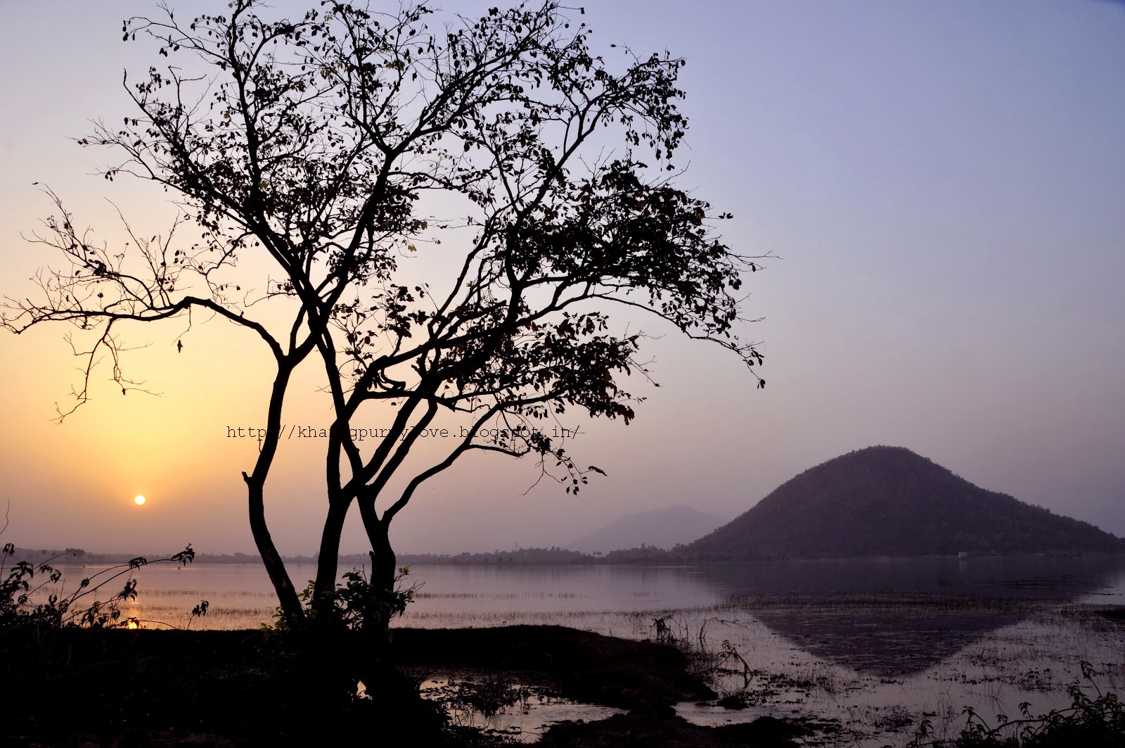 kharagpurmylove: Boronti, Muradi and Bero: Untrap natural habitat from ...