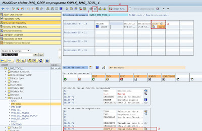 SAP ABAP Central: Copy Customizing Path