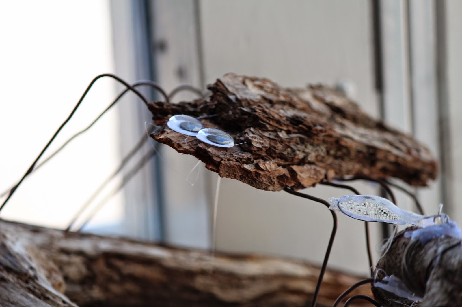 Min Naturliga Sida: Sommarpyssel med barn; Insekter