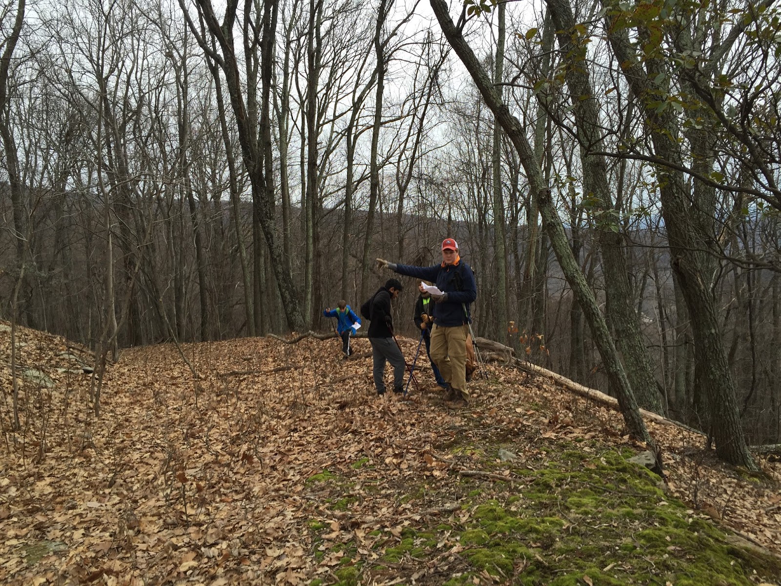 Wandering Virginia: A Primer for Bushwacking in Shenandoah National Park