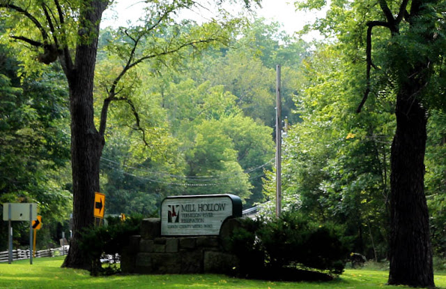 Mill Hollow - Vermilion River Reservation