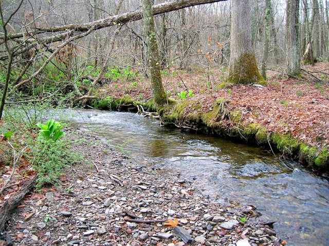 Small Stream Reflections: April 2013