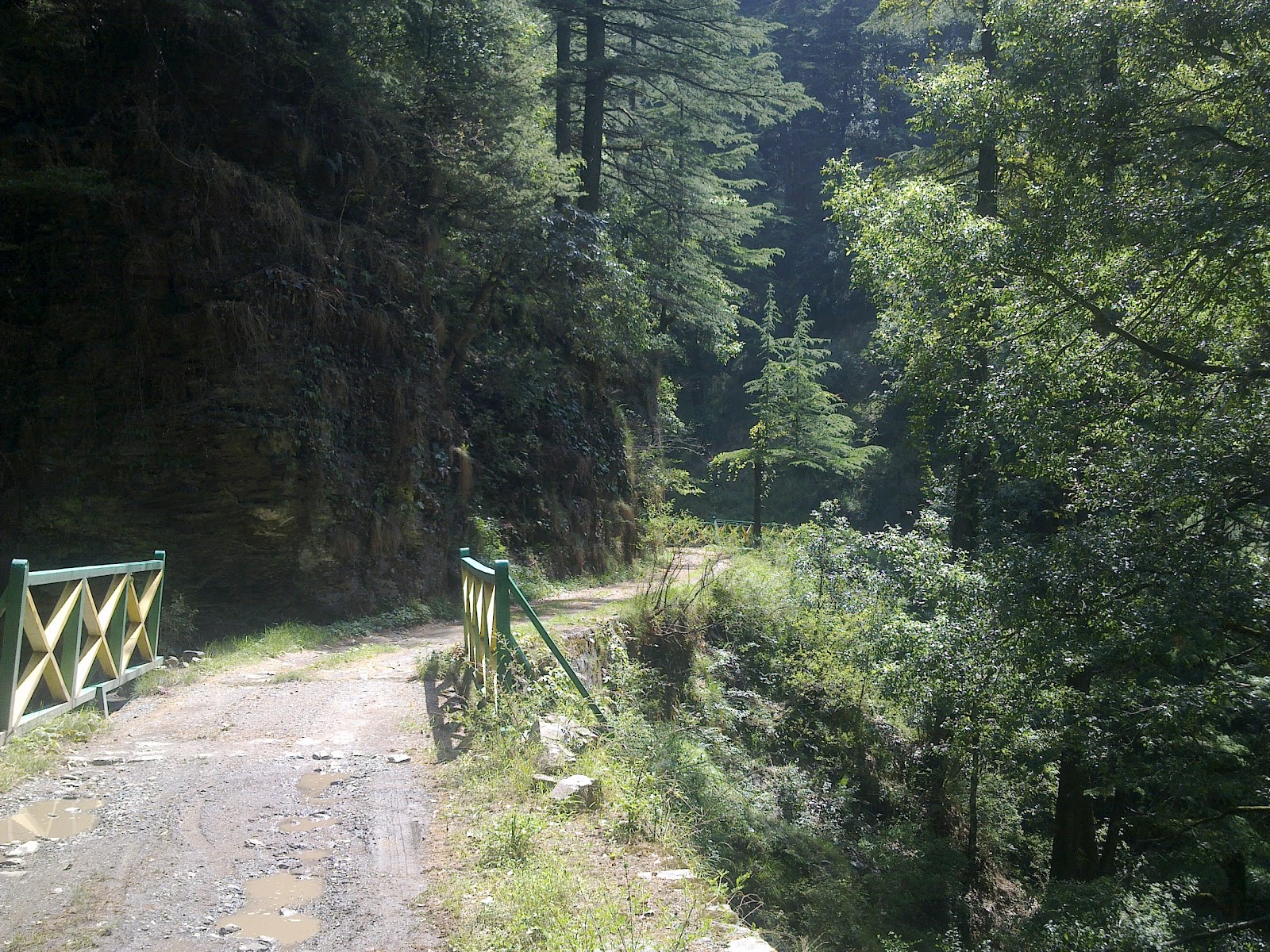 Destination: Hasan Valley-Shimla