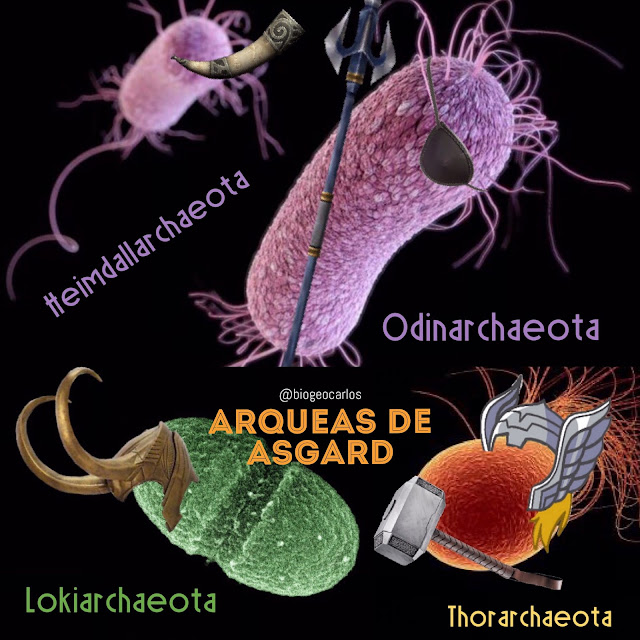 LA CIENCIA DE LA VIDA: Día del orgullo friki 2017: Las arqueas de Asgard