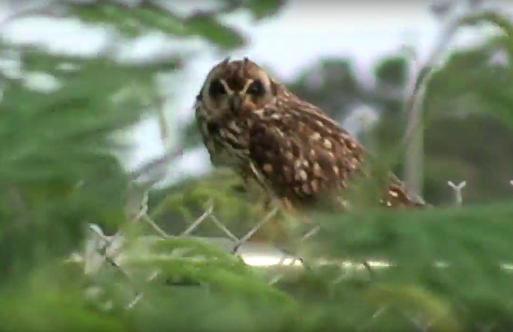Honouliuli Ewa Traditional Cultural Properties: 2015