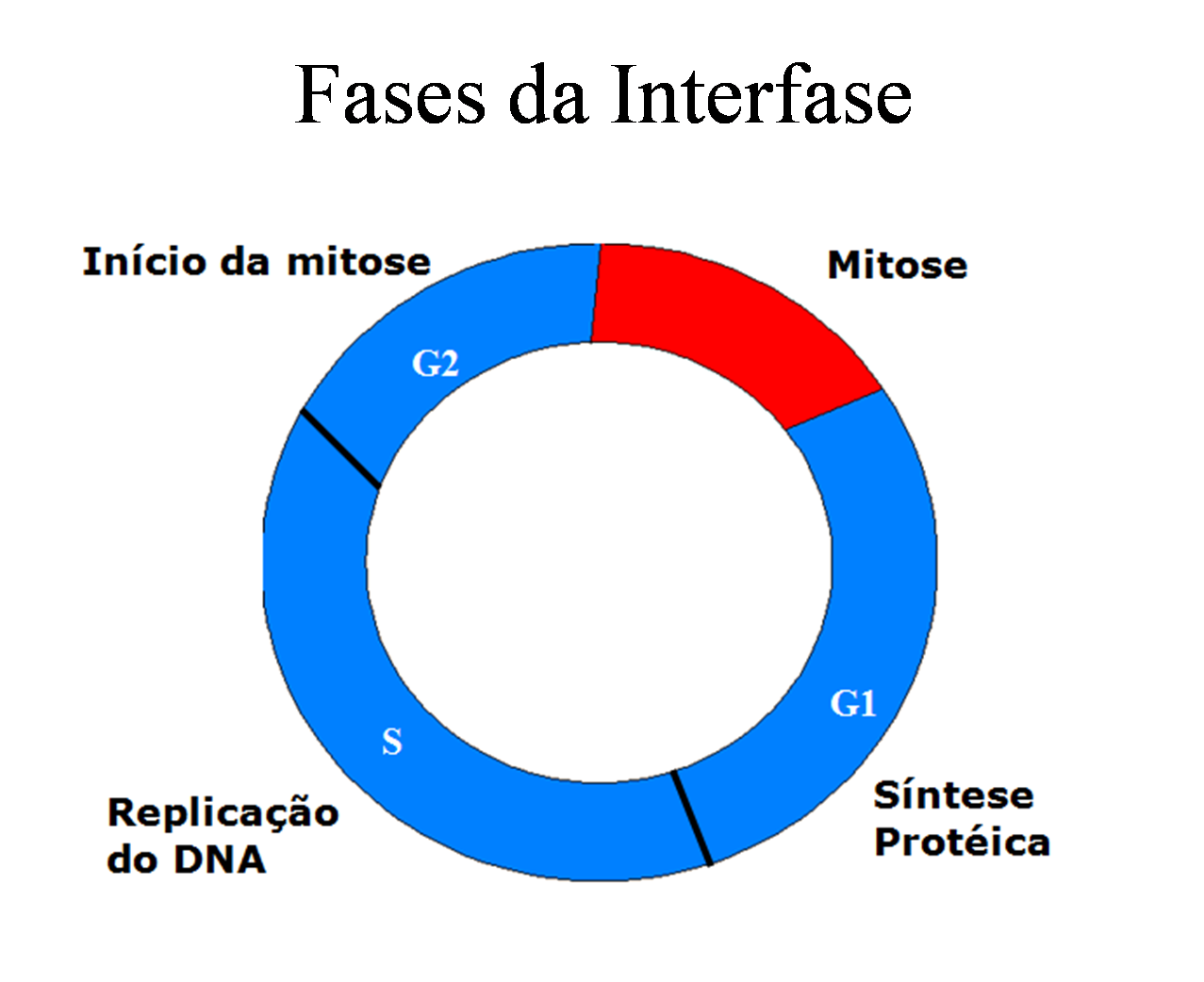 Ciências e Biologia - Prof.ª Biól. Rosalia : Aula divisão celular (1º ...