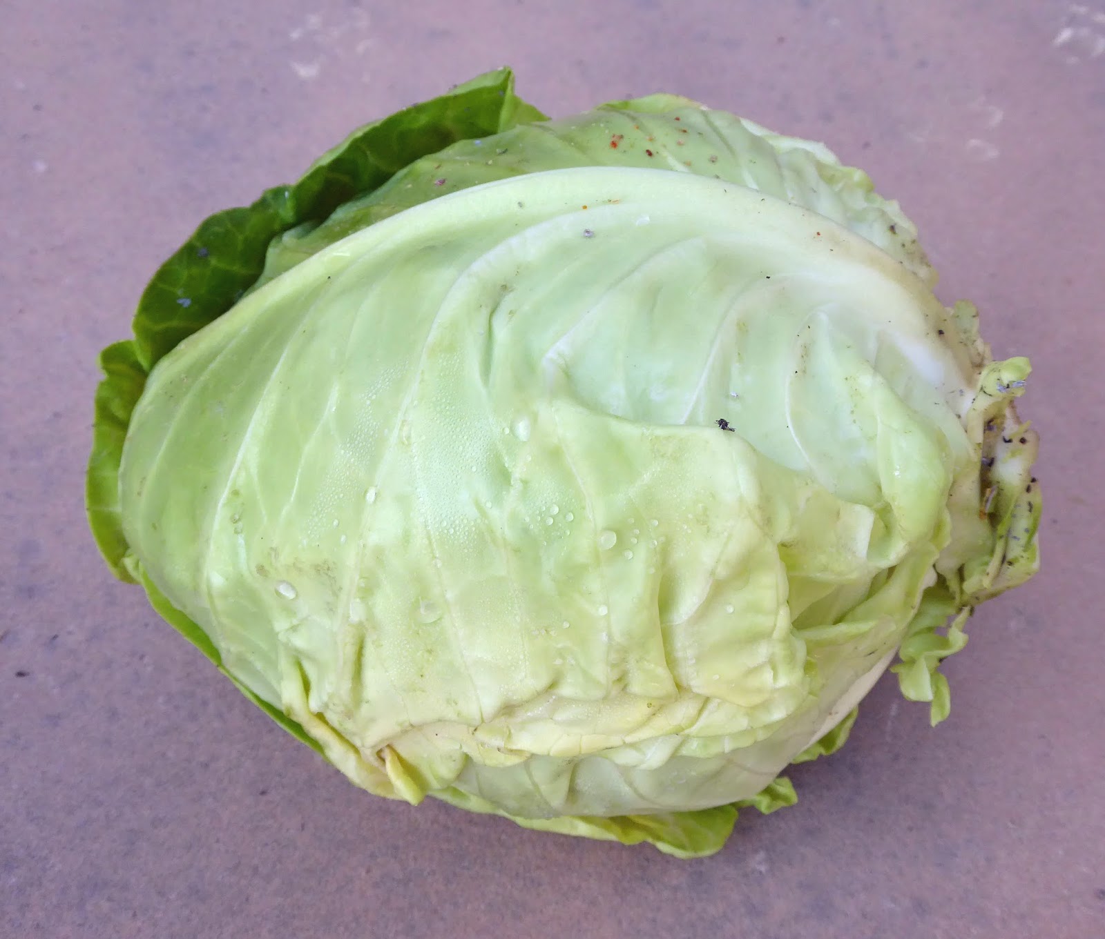 From Seed To Table: Harvest Monday - May 7, 2018