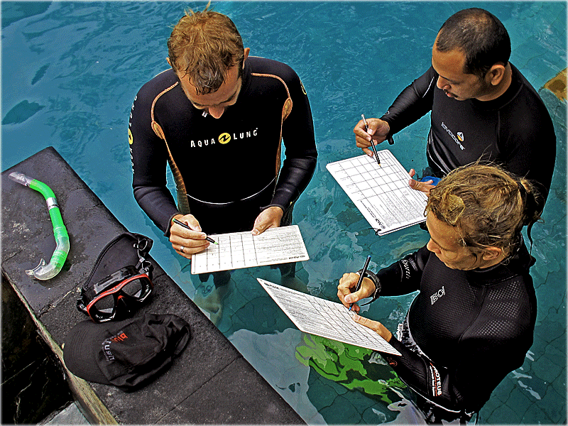 PADI IDC Staff Instructor | Gili Islands | Indonesia