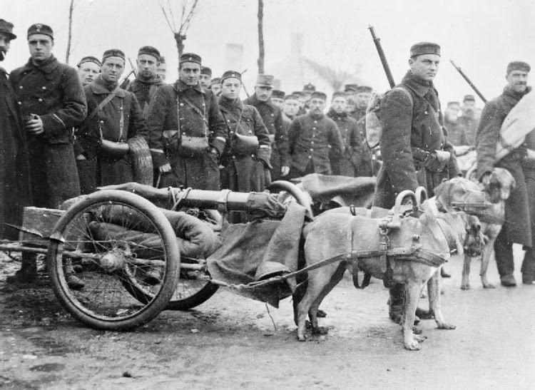Terrierman's Daily Dose: Dogs of World War I