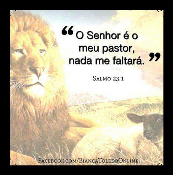 G P S D A N E T: NOSSO ÚNICO PASTOR É CRISTO - QUEM LIDERA UMA IGREJA É ...