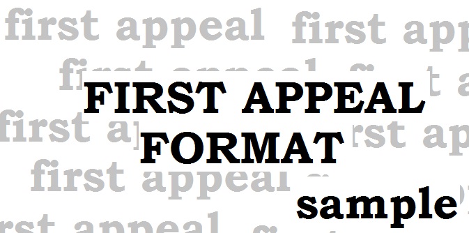 First Appeal Sample Format