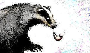 At the back of the hill: PICTURES OF BADGER SMOKING A PIPE