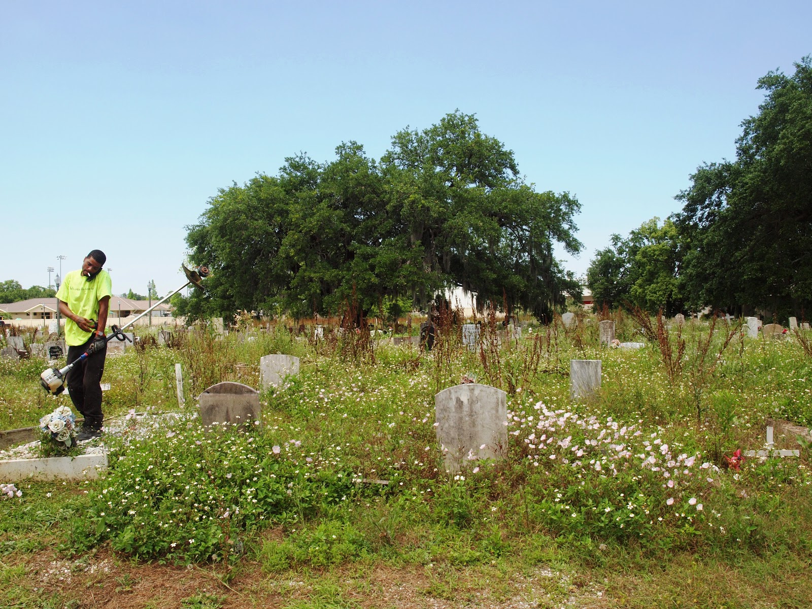 angels and people, life in New Orleans: Holt Cemetery