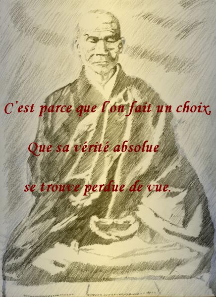 Citations: Citation Zen; C'est parce que l'on fait un choix