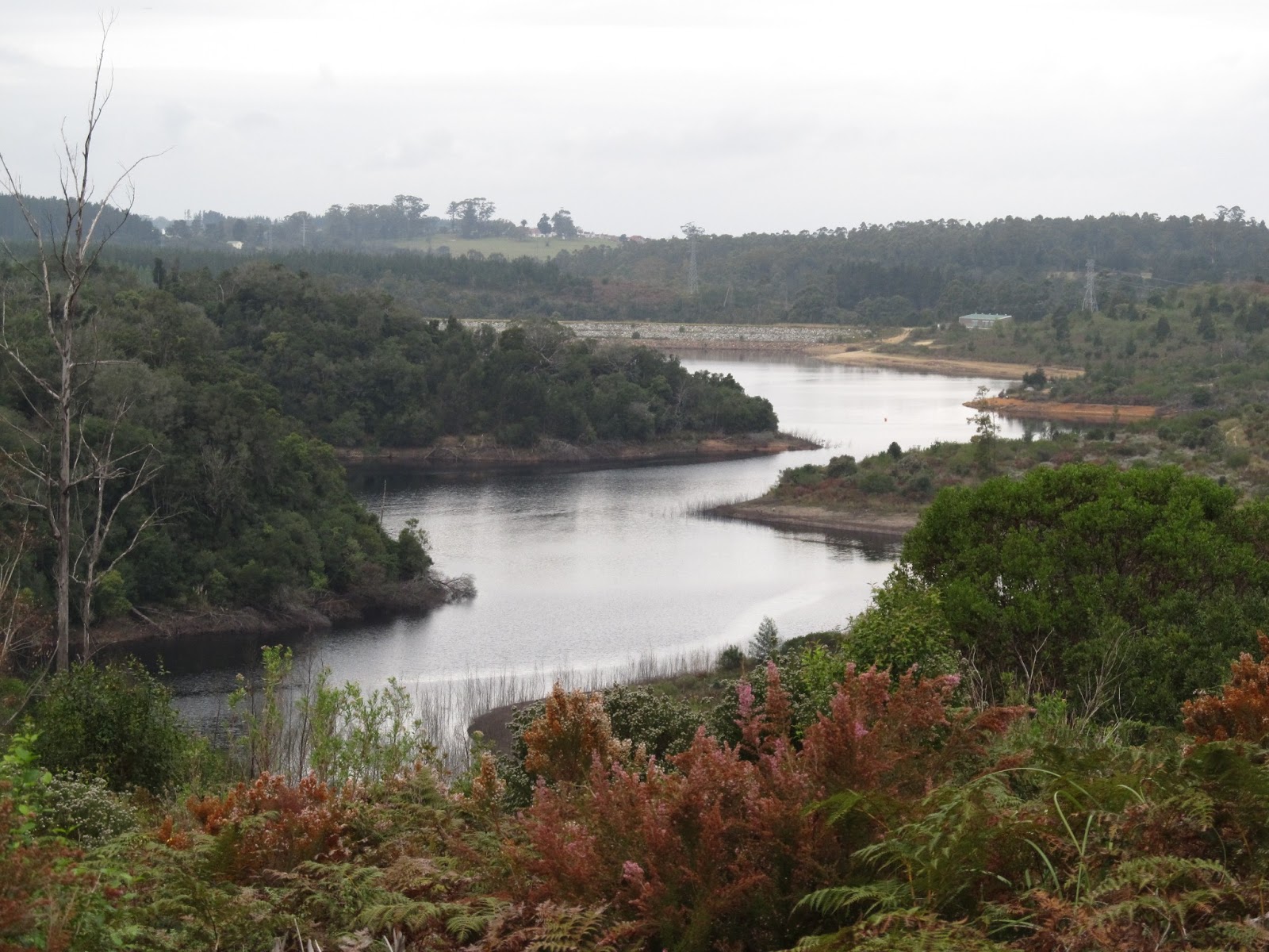 Garden Route Trail Finders: Garden Route Dam Trail