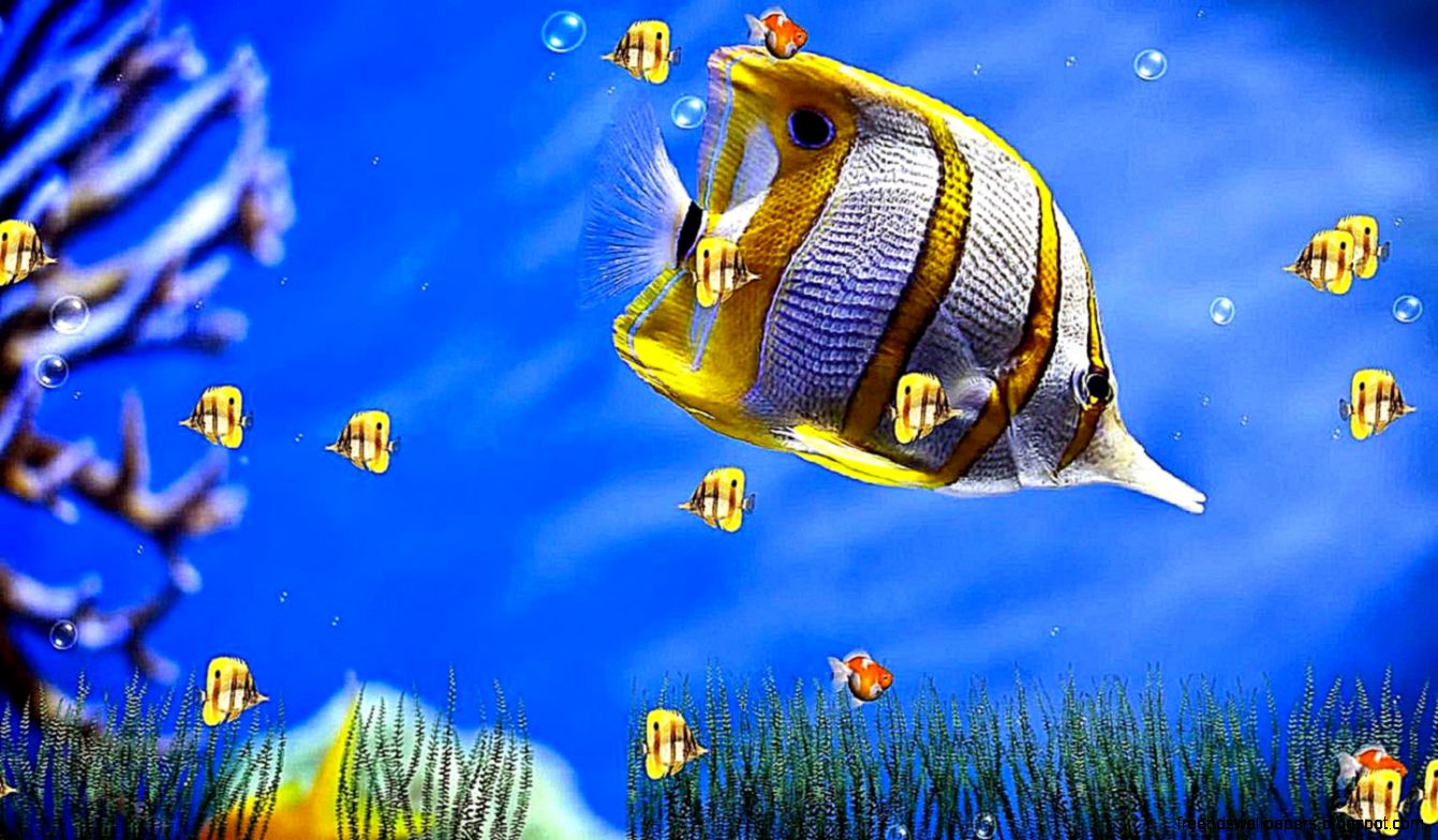 Interactive Desktop Wallpapers | Free Hd Wallpapers