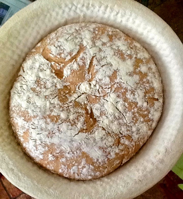 Brot & Bread: KHALID'S GÖTZENBURG-BREAD - WHOLE GRAIN BAKING IN DUBAI