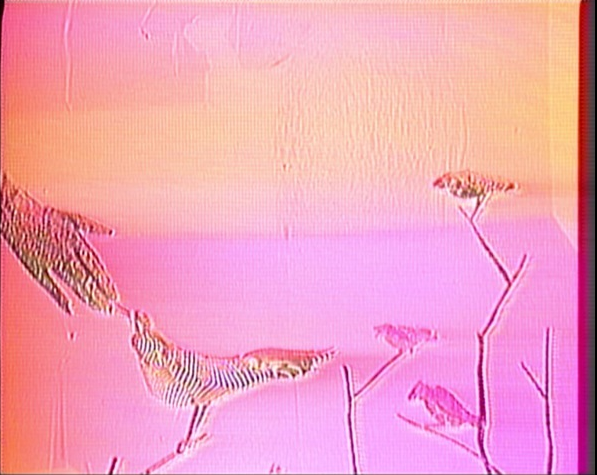 The Astonishing Egg: Tom Thayer