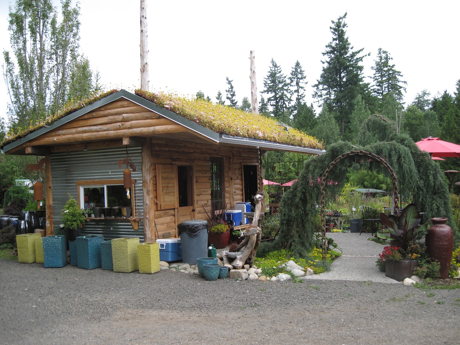 Bonney Lassie: A Visit to Dragonfly Farms Nursery