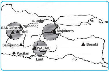 Meganthropus Paleojavanicus - Legend of Study