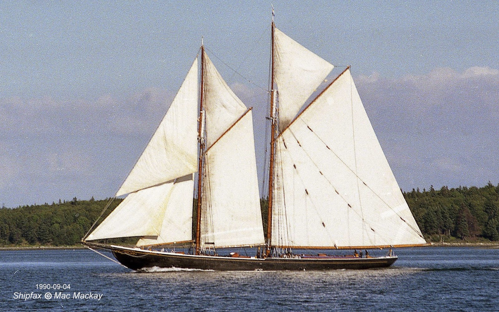 Shipfax: Bluenose in distress