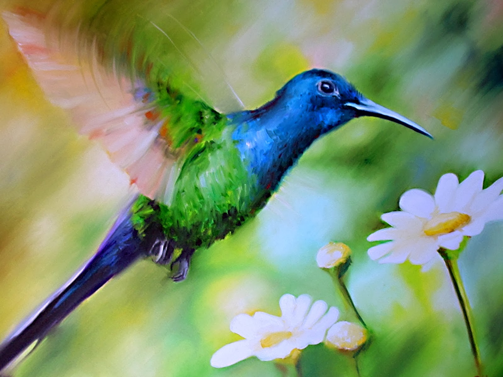 Happy Pet: Beija Flor