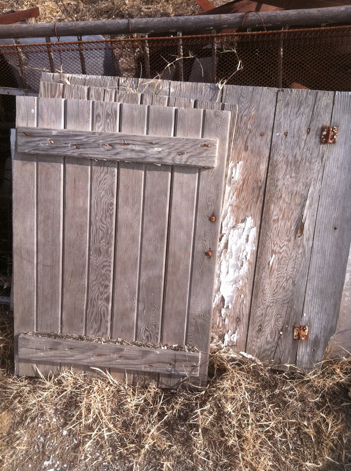 The Baeza Blog: Mini "Barn Door"