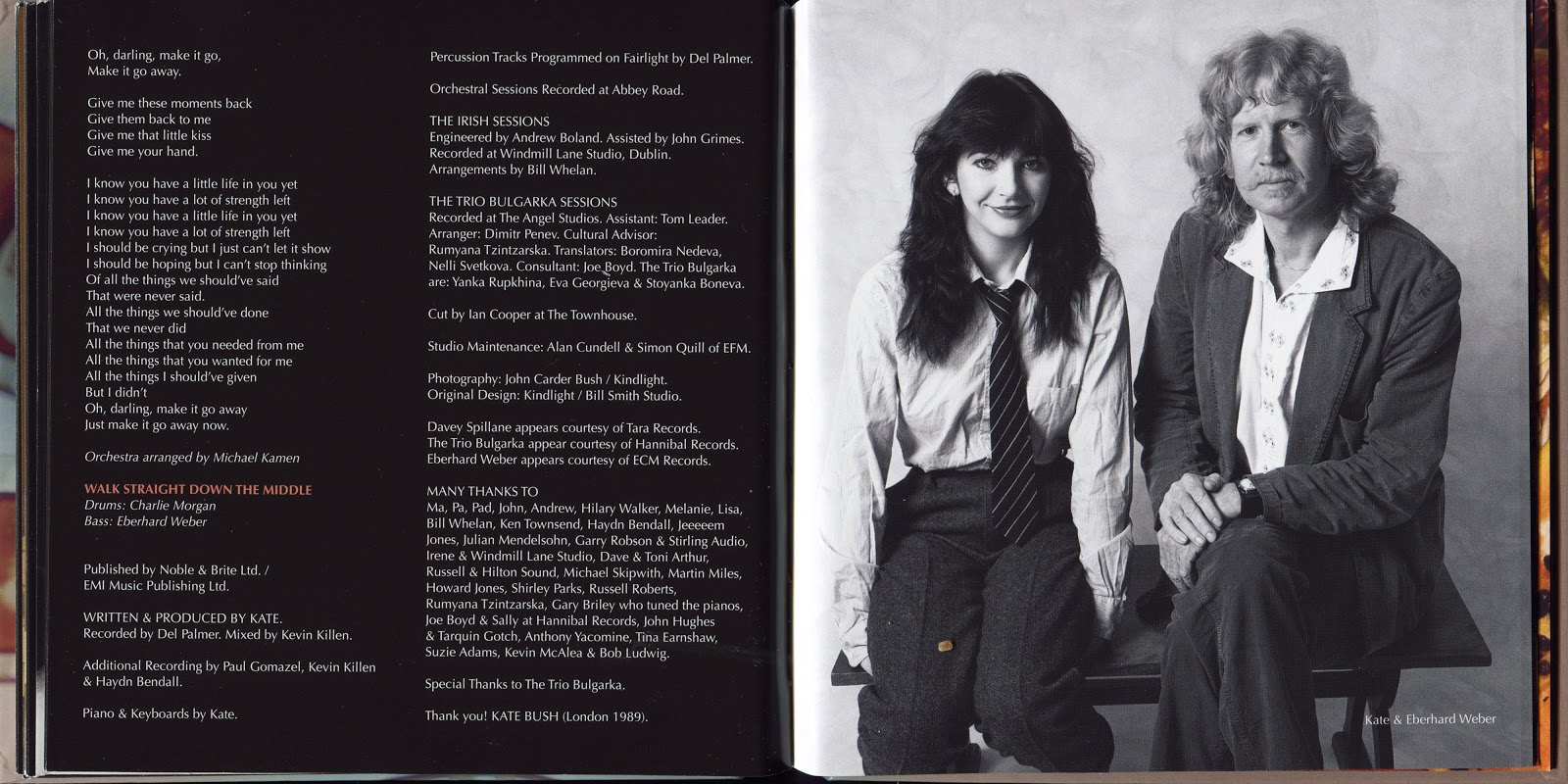 2011 Director's Cut - Kate Bush - Rockronología