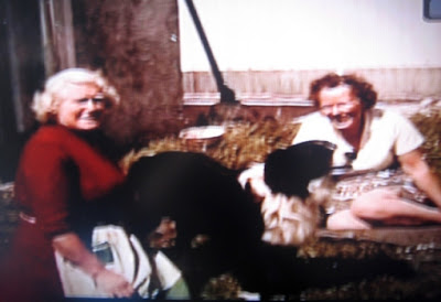 Cameron Macaulay, el niño reencarnado - Dunheim: Punto misterioso