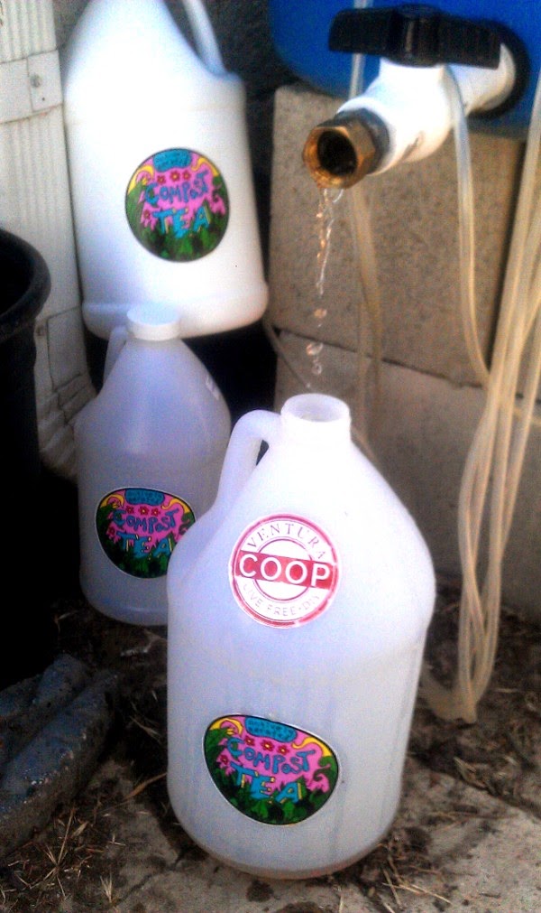 Ventura Cooperative: Compost Tea: Life Under The Microscope