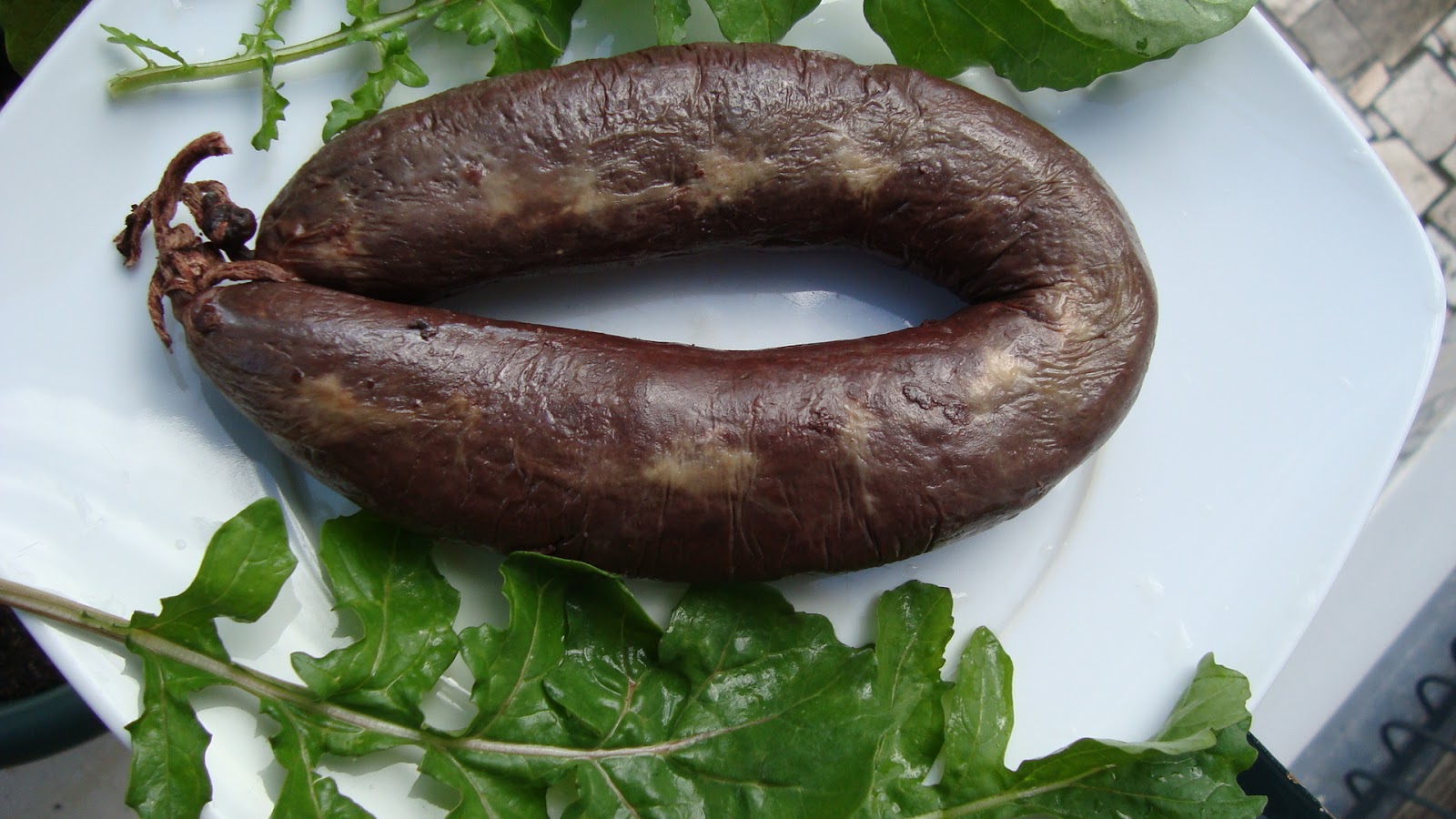 Acordo Ortográfico: O que mudou?: Receita 11: Morcela grelhada com ...