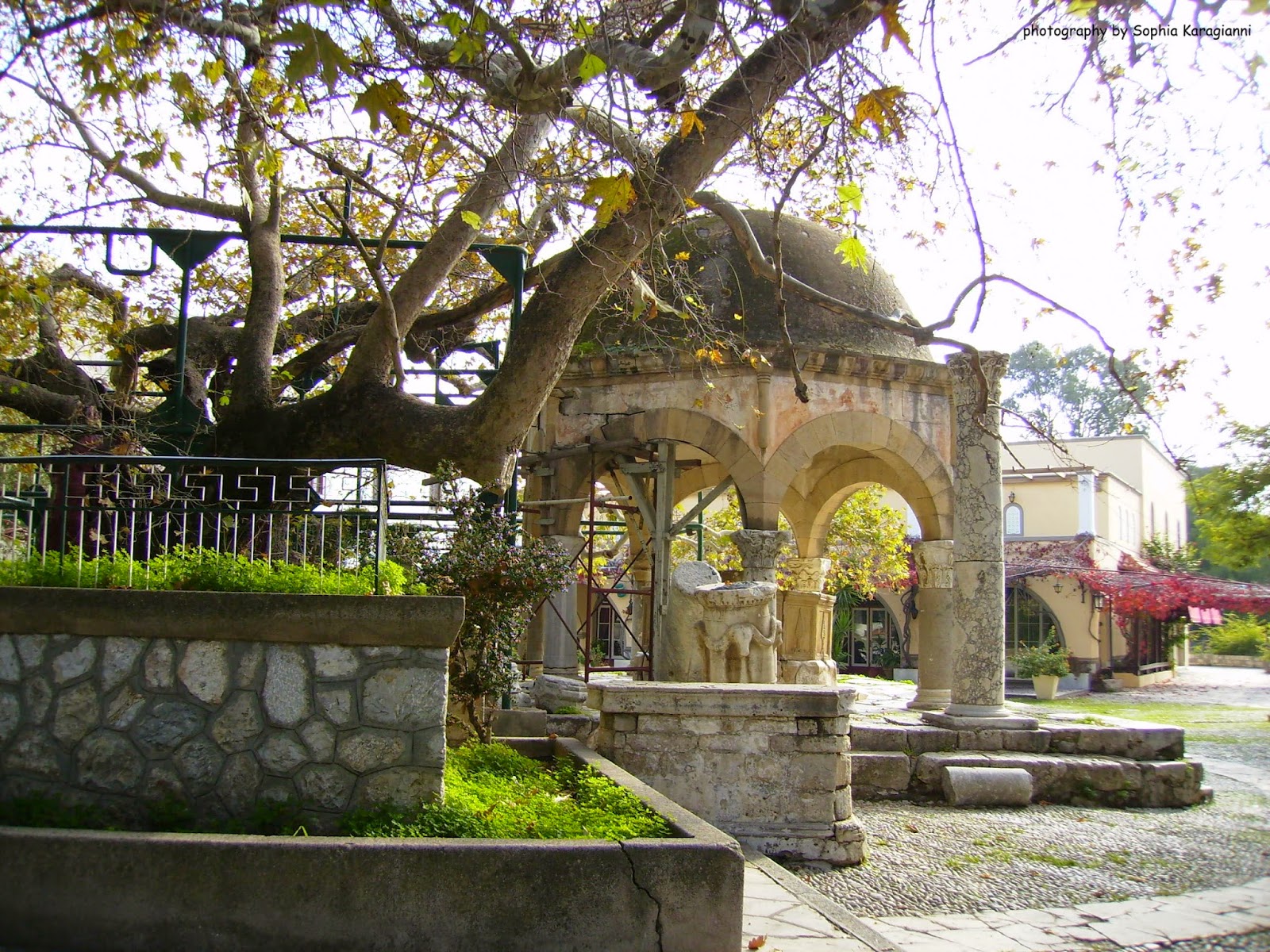 Kos and the Dodecanese through my eyes-Η Κως και τα γύρω νησιά μέσα από ...