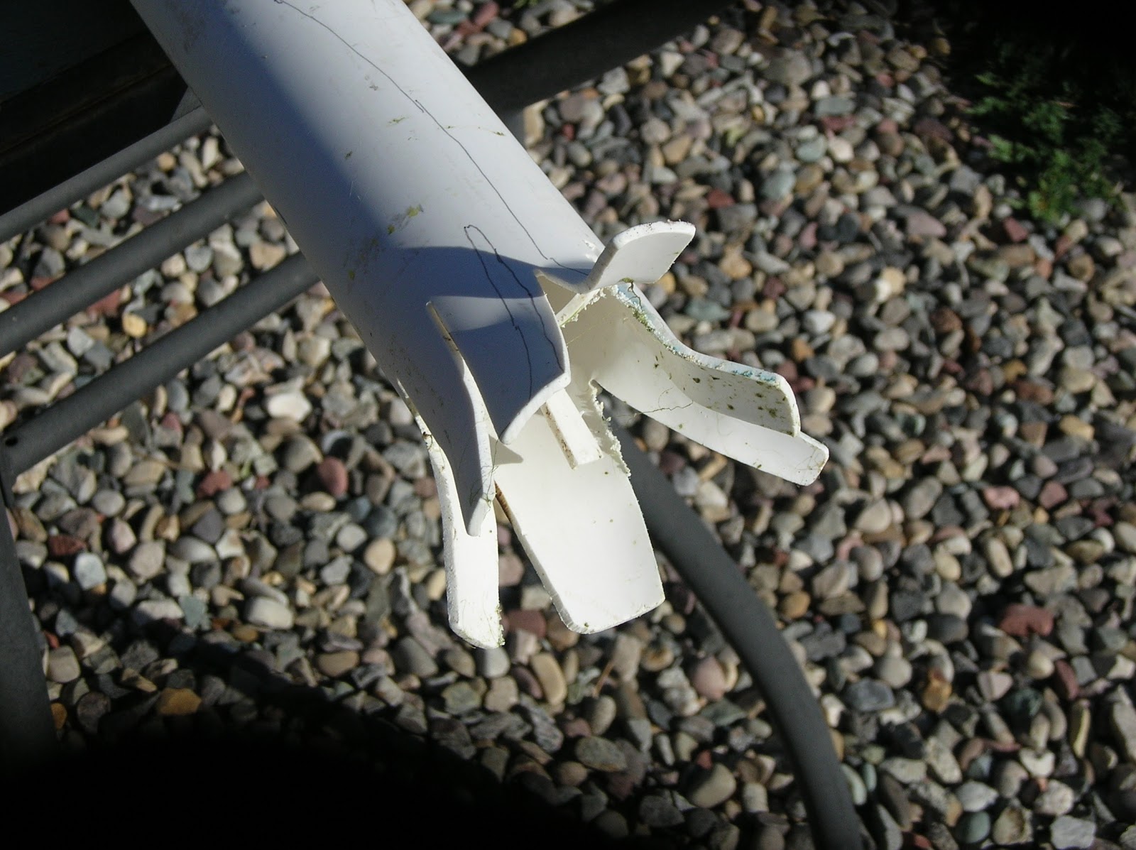 Jim's Frog Blog: String Algae Collection Device