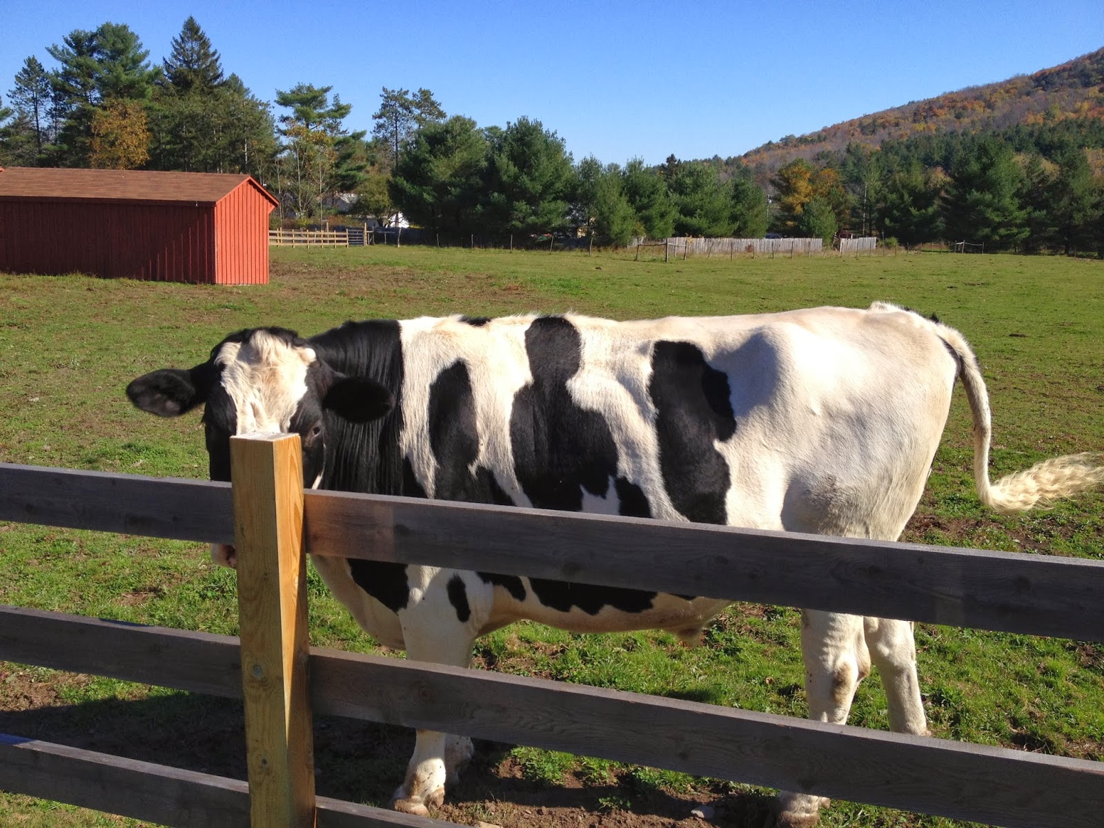 The Bare Mother Earth