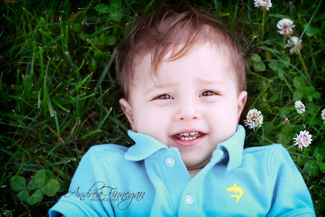 Andrea Finnegan Photography