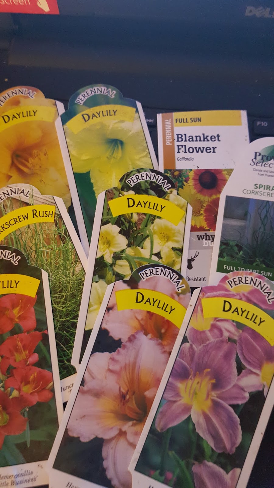 Gear Acres at Top of the Hill: How to Keep Track of Your Plants and Trees