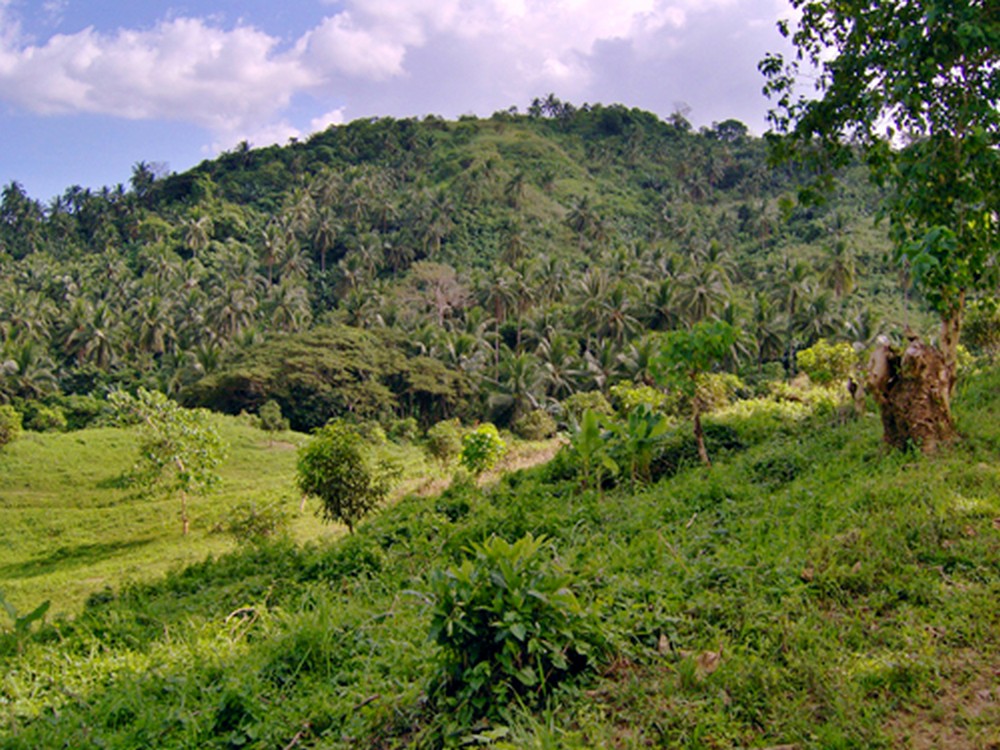 My Homeworks: Makasaysayang Pook sa Silangan Bisayas (Rehiyon VIII)
