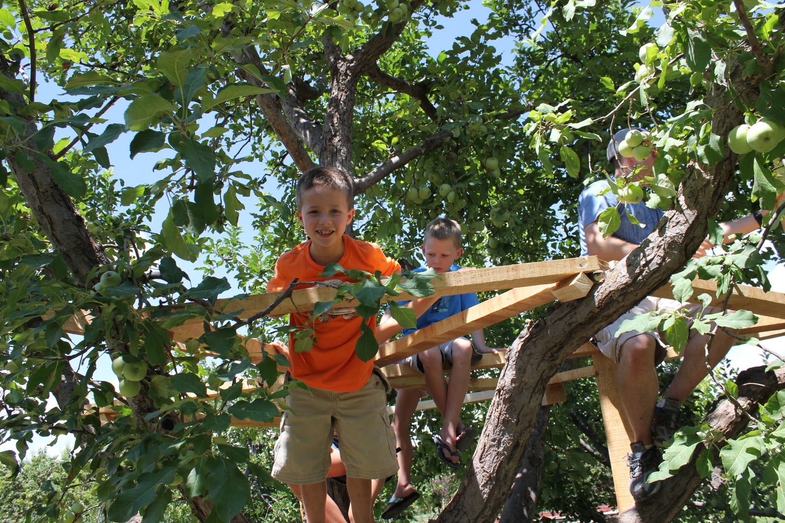 LIVE.... LAUGH.... LOVE ....: the tree fort
