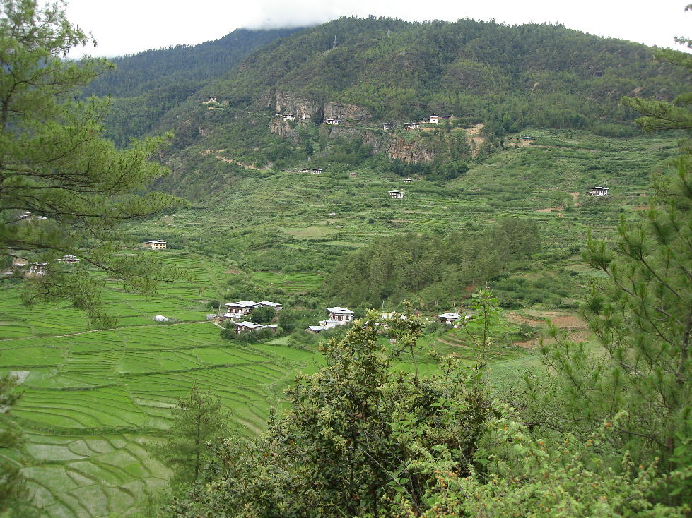 Bhutan 2011: Chele La Pass y Kila Goemba